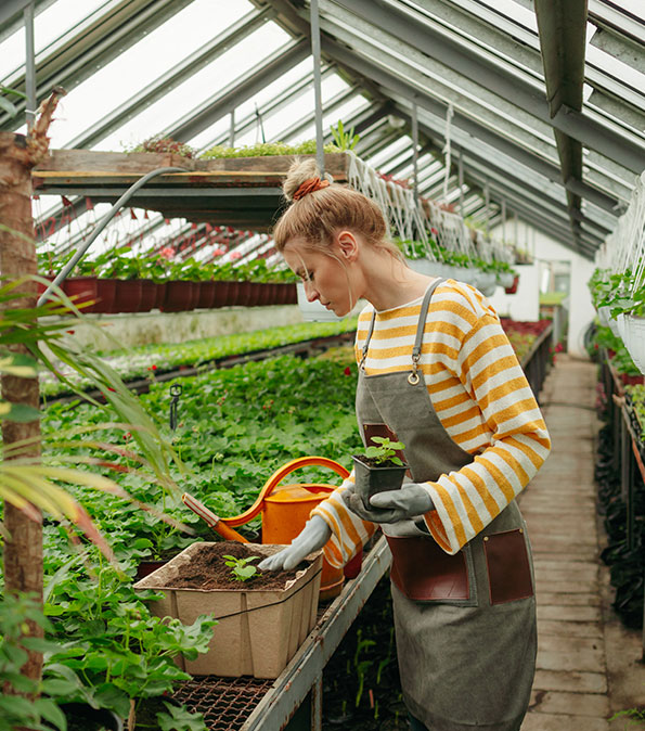 LP Linie de credit IMM | BRD.ro